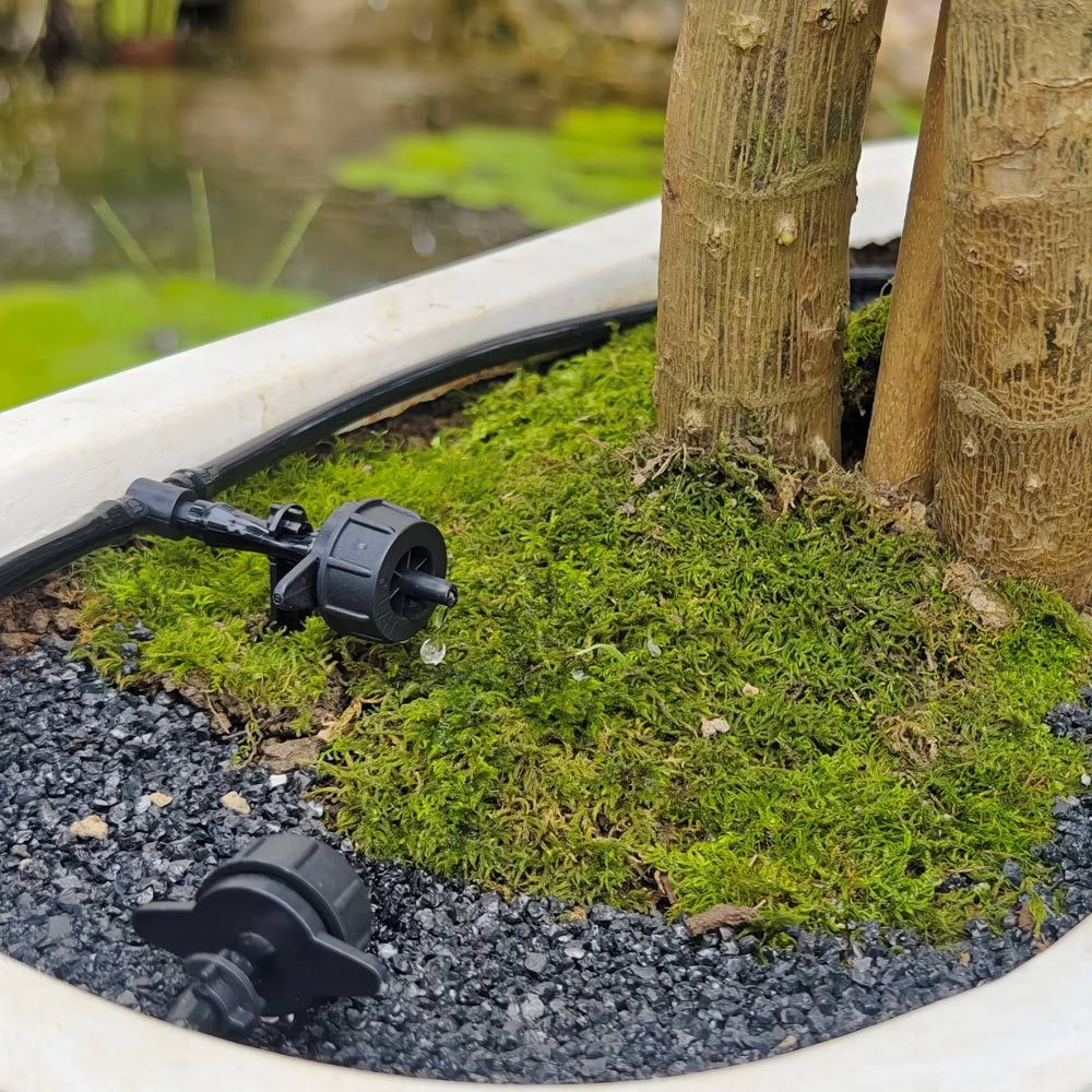 Solar Powered Drip Irrigation System